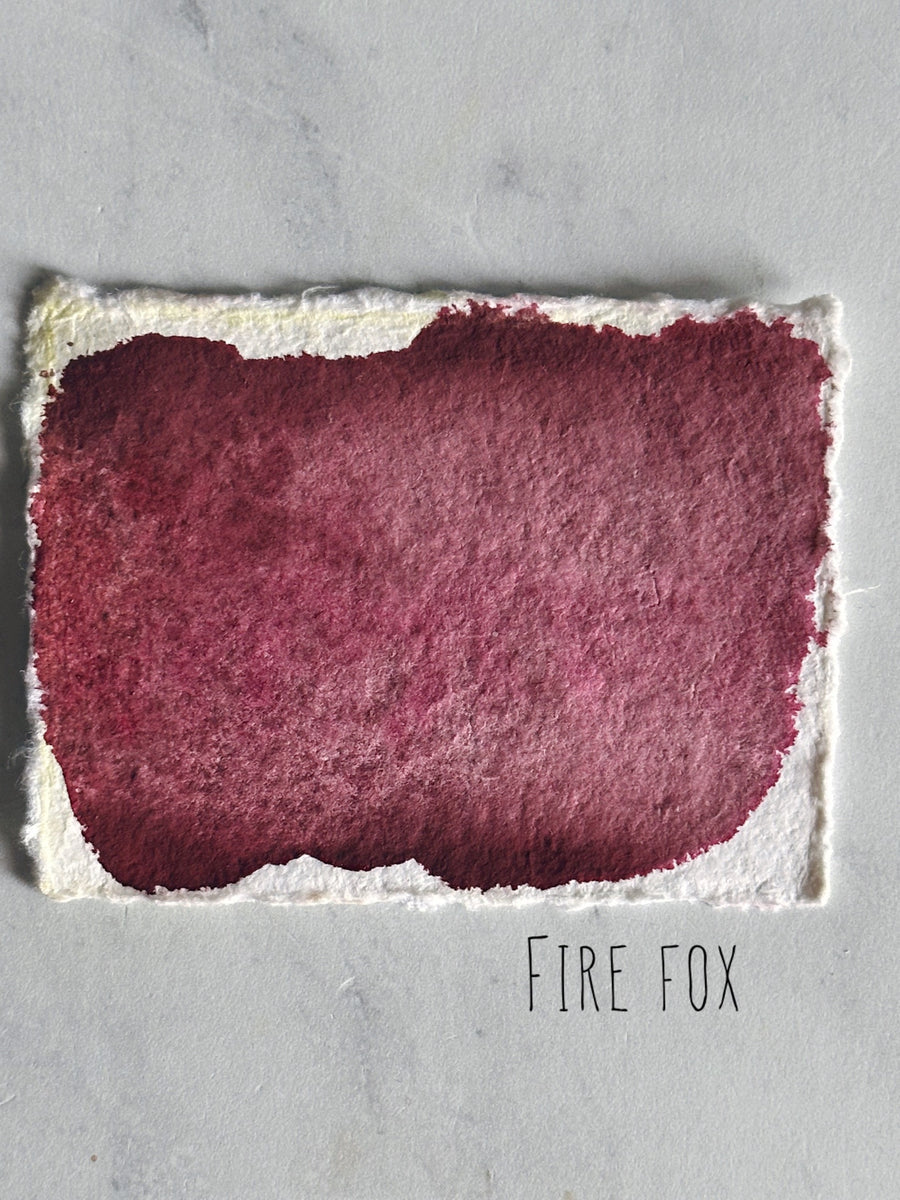 Firefox – 31PurpleFish Watercolors